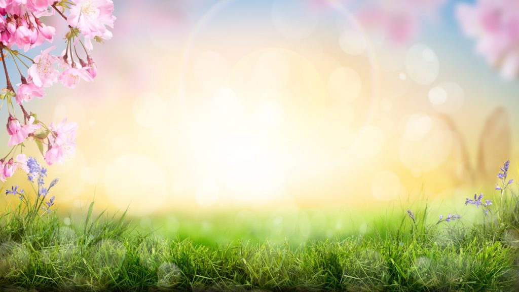 Cyber Solutions Home - Cyber Solutions